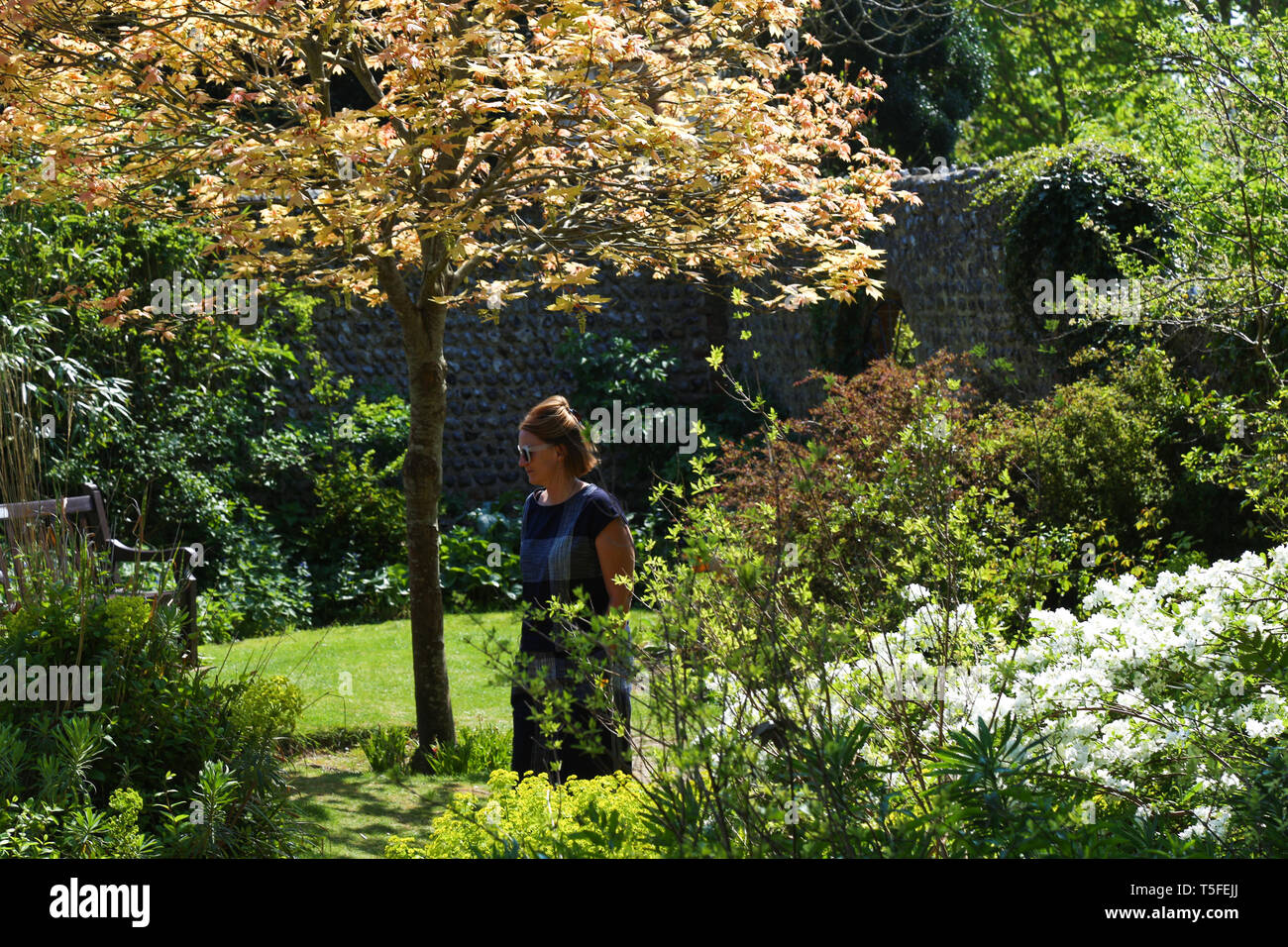 Rottingdean gardens hi-res stock photography and images - Alamy