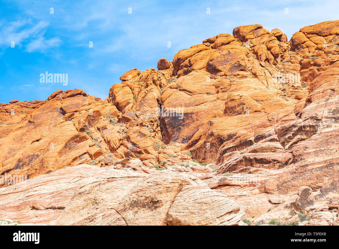Red Rock Canyon National Conservation Area in Las Vegas Nevada USA ...