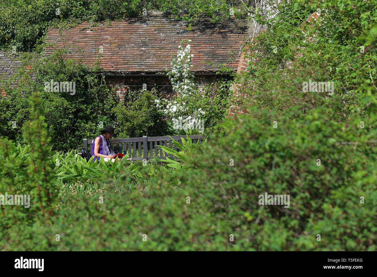 Woman seated on the bench inside in the Kipling gardens, Rottingdean ...