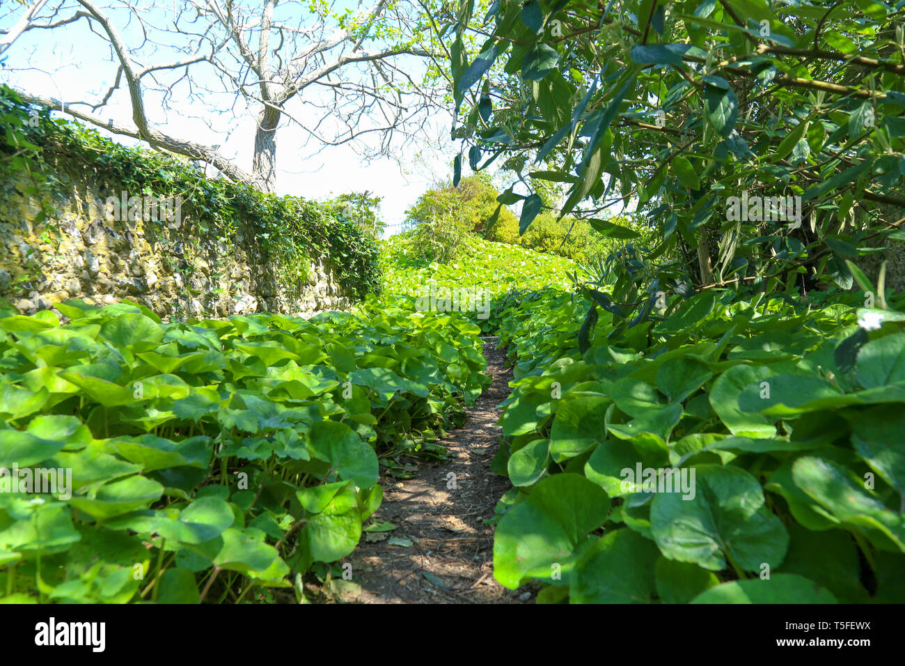 view of the Kipling Gardens, Rottingdean, Brighton, Uk Stock Photo - Alamy