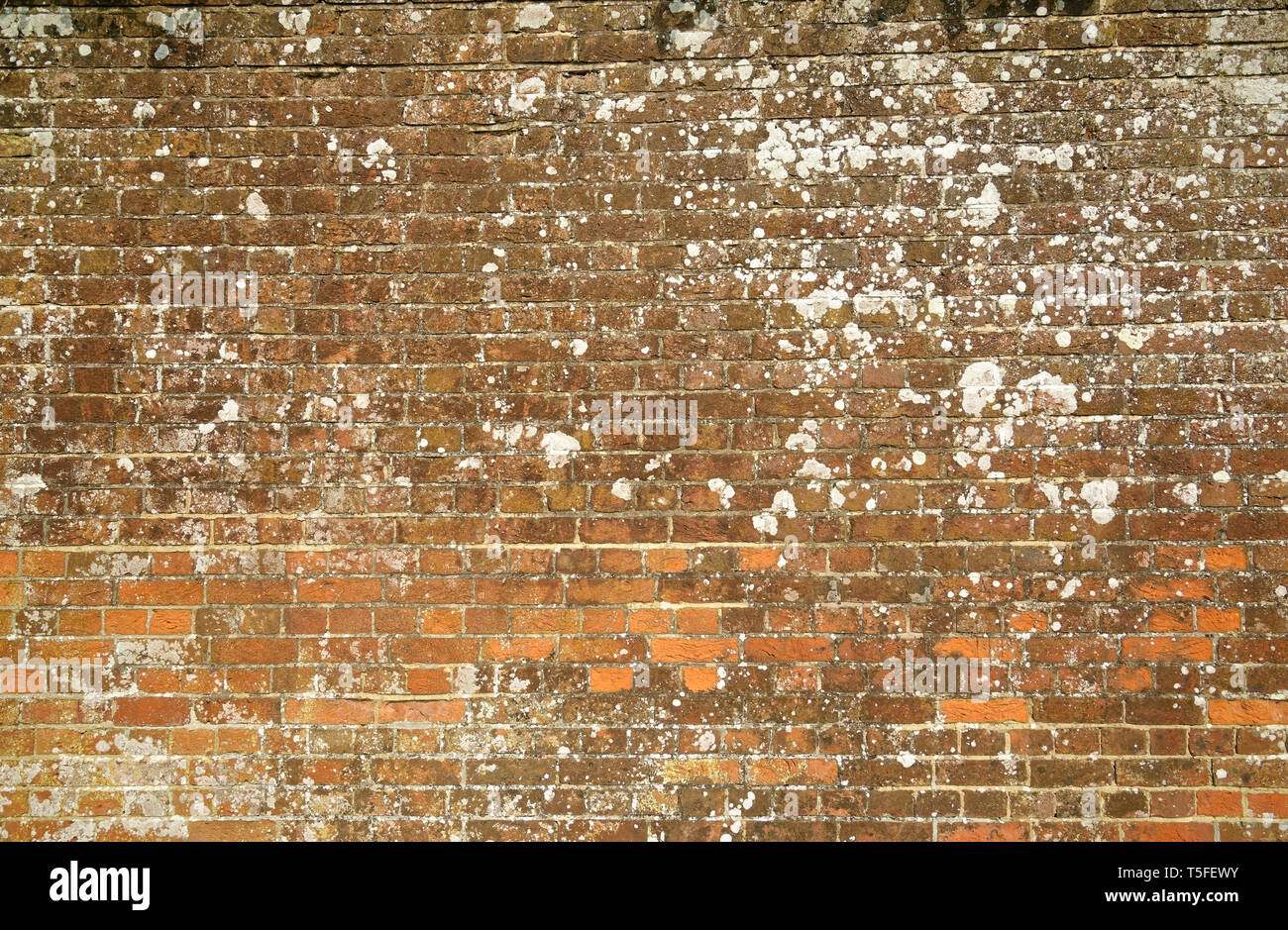Traditional red brick wall texture hi-res stock photography and images ...