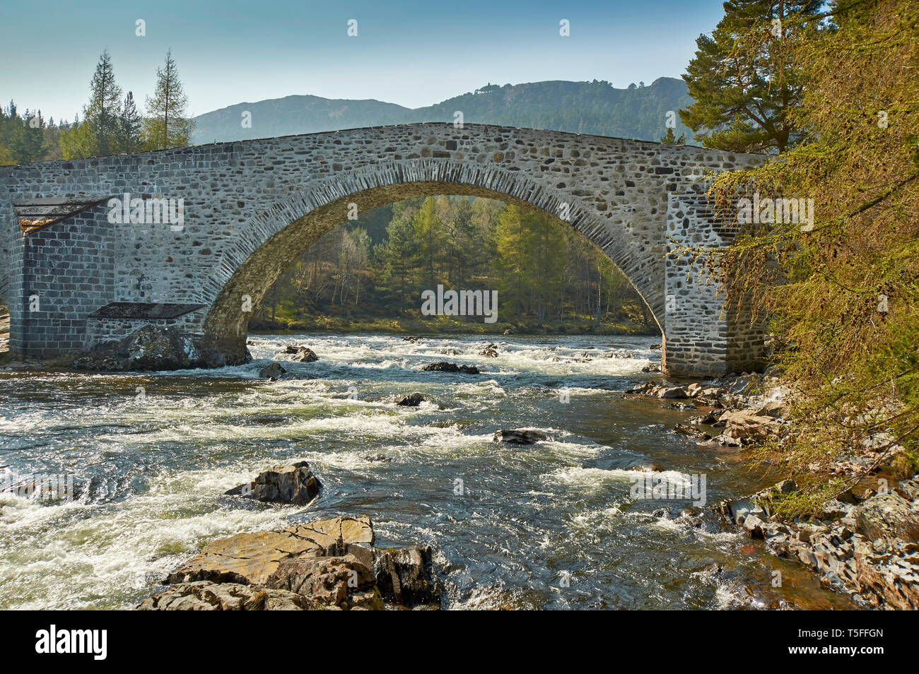 Old brig dee river dee hi-res stock photography and images - Alamy