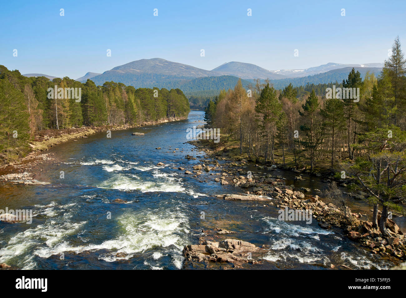 Invercauld bridge water braemar hi-res stock photography and images - Alamy