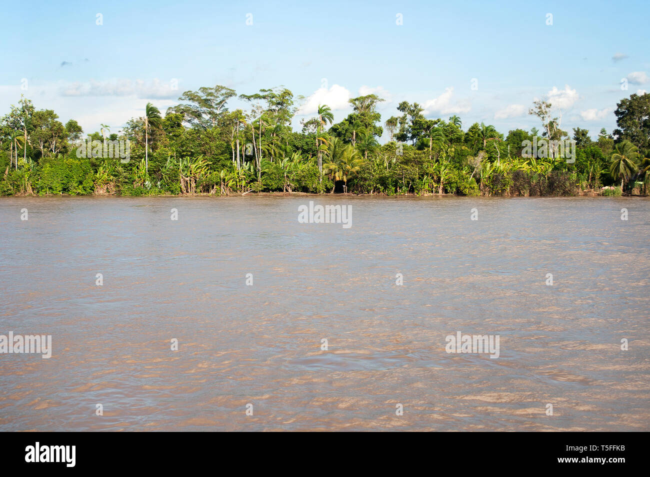 Amazon river and rainforest landscape. Peru. South America Stock Photo ...