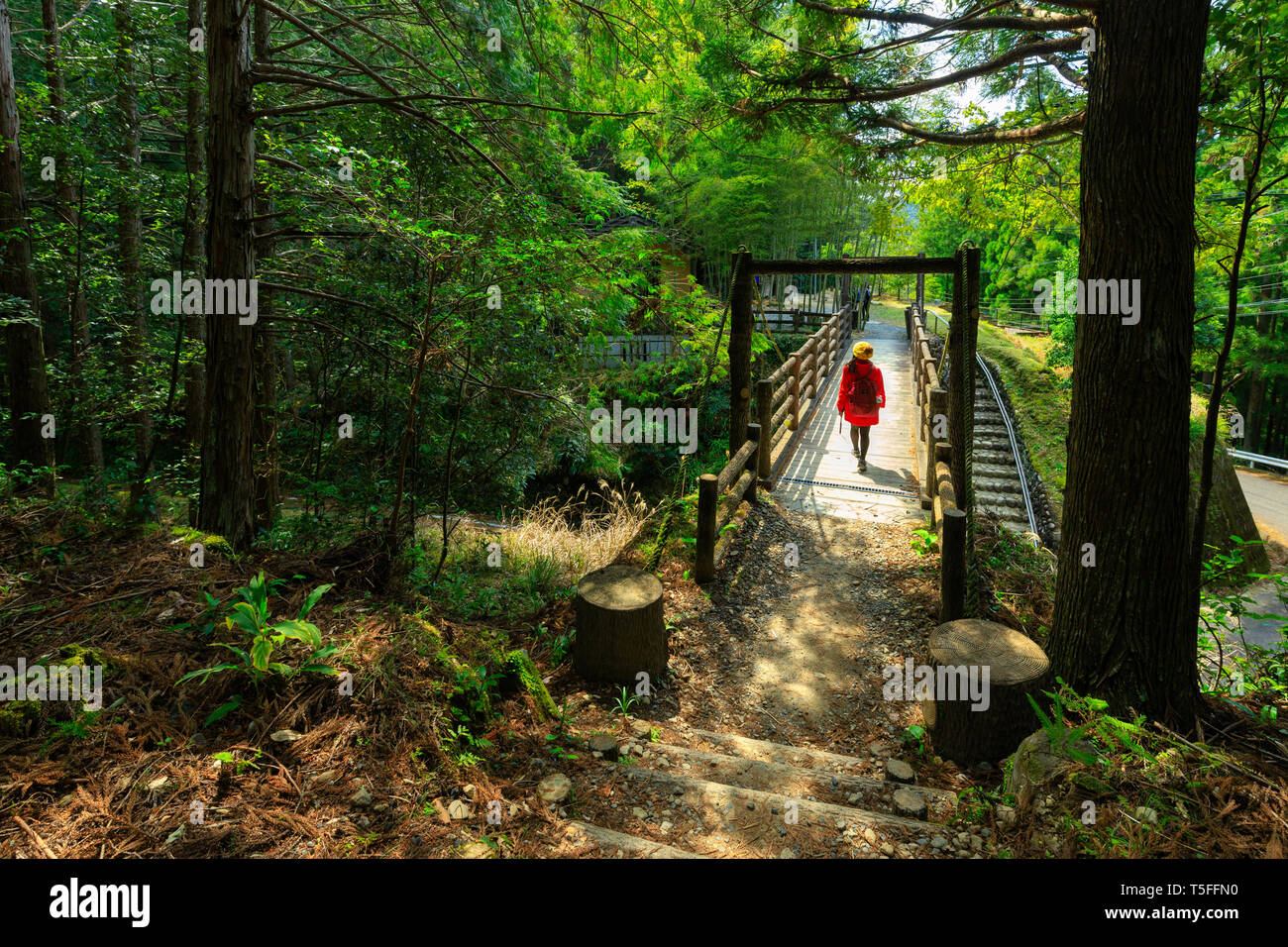 Kumano kodo pilgrimage route hi-res stock photography and images - Alamy