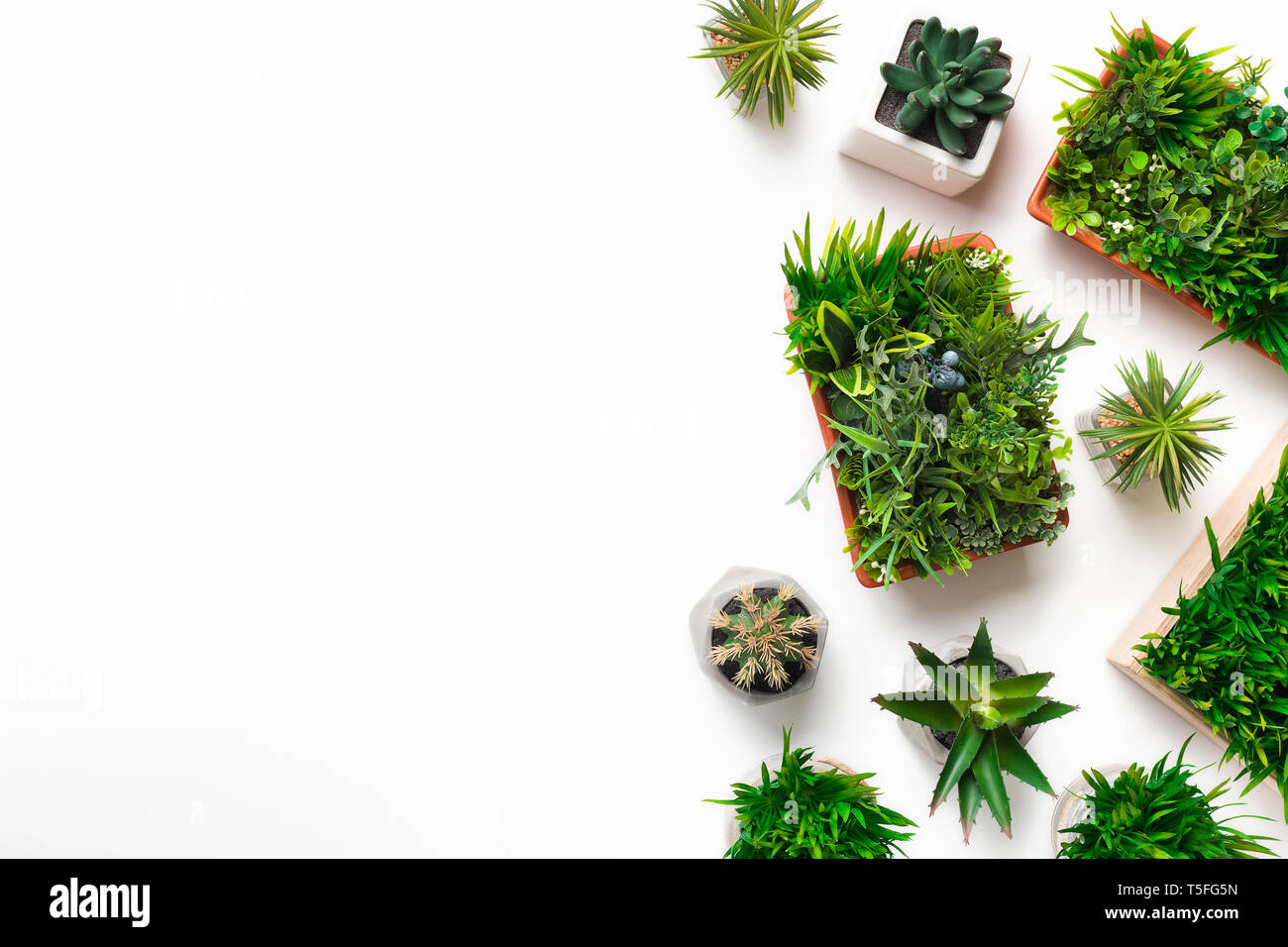 Border of various plants on white background with copy space Stock ...