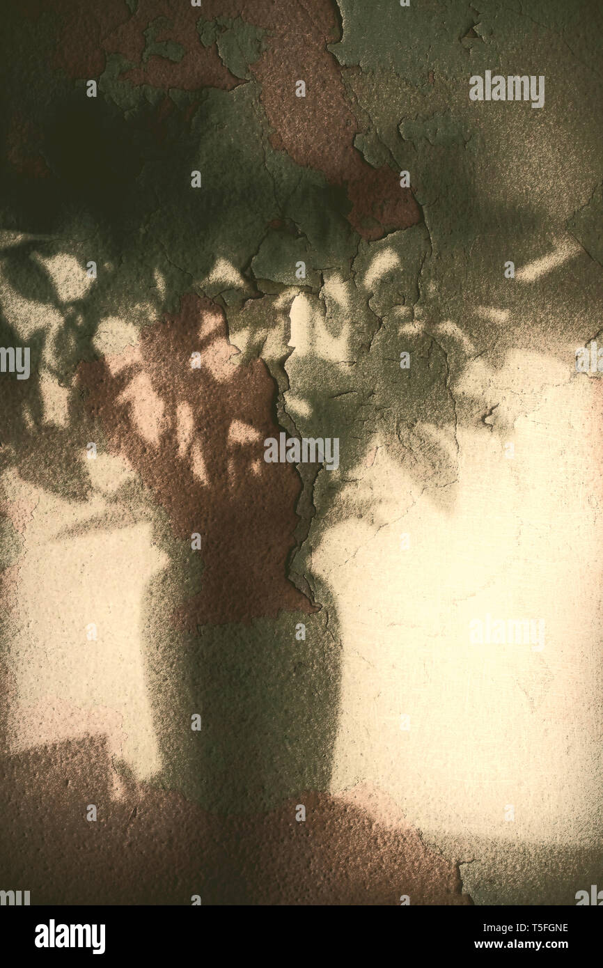 Shadow projection hi-res stock photography and images - Alamy