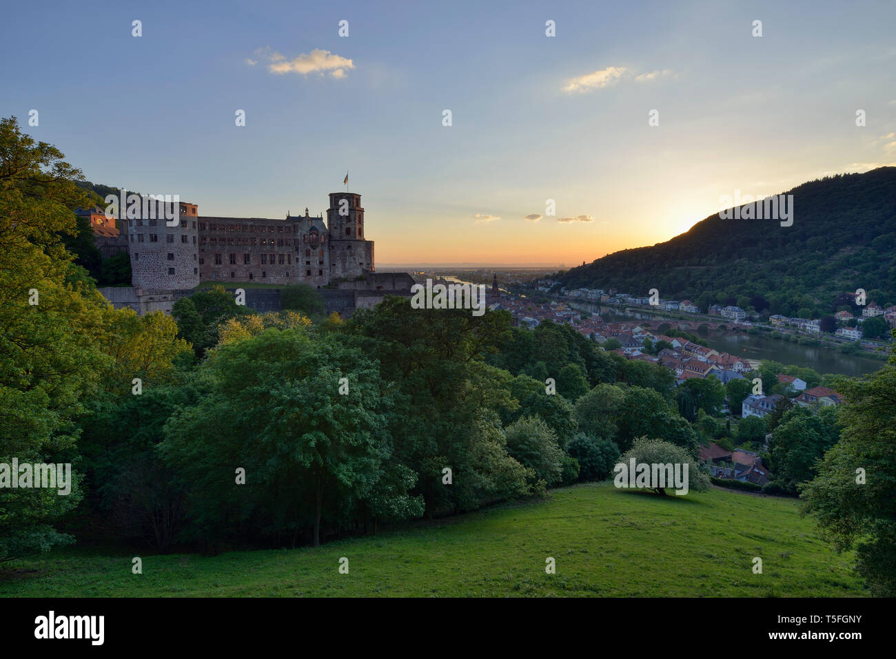 Heidelberg Castle with Neckar River and Old Bridge, Bade. Wurttemberg ...