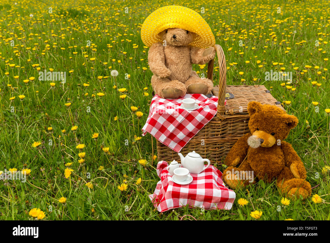 Teddy Bear's Picnic in lush green meadow with yellow flowers ...