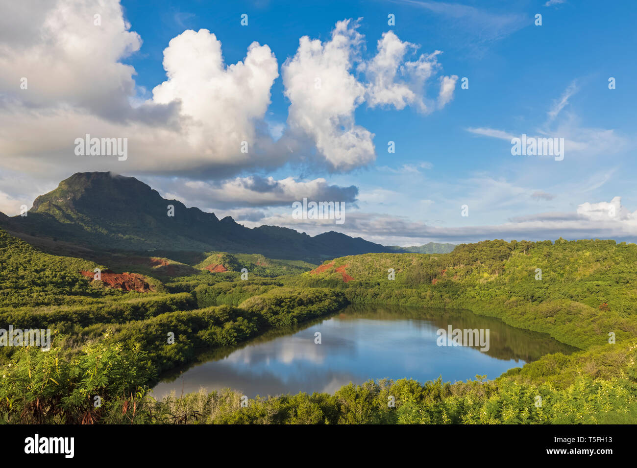 Menehune hi-res stock photography and images - Alamy