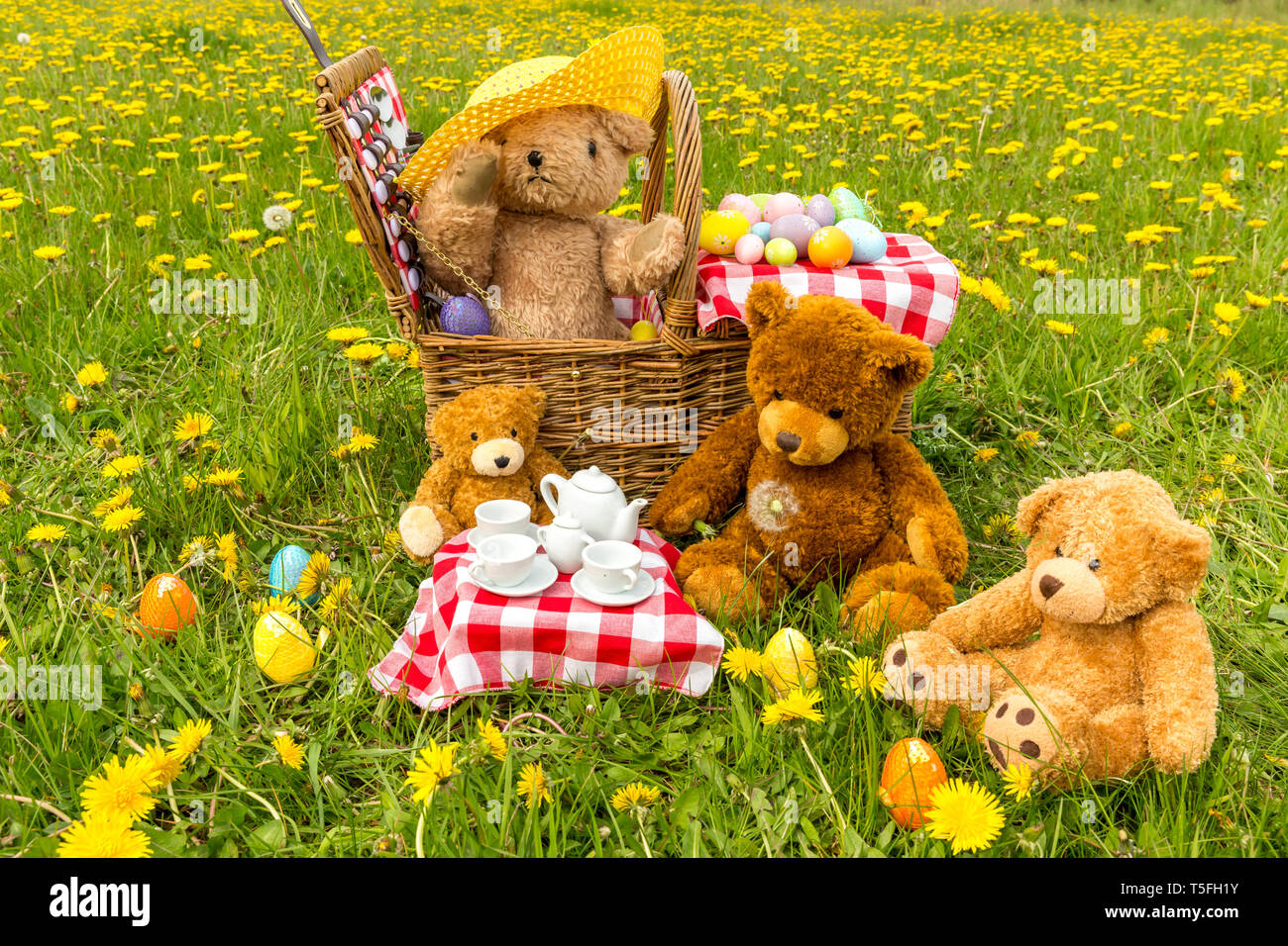 Teddy Bear's Picnic in lush green meadow with yellow flowers ...