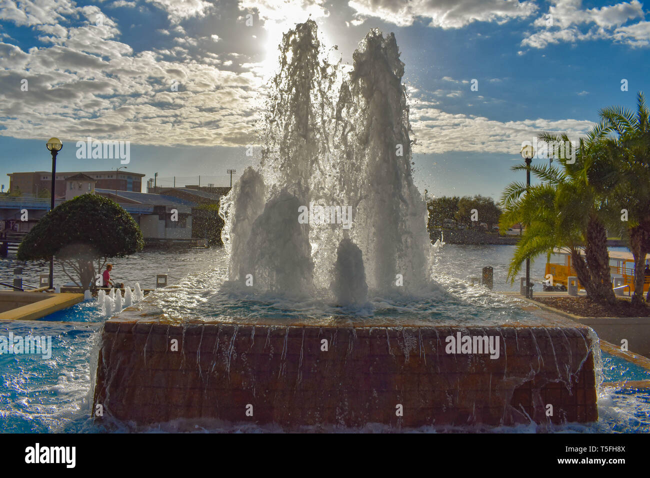 Tampa Bay, Florida. March 02, 2019. Fountain on sunset sky background ...