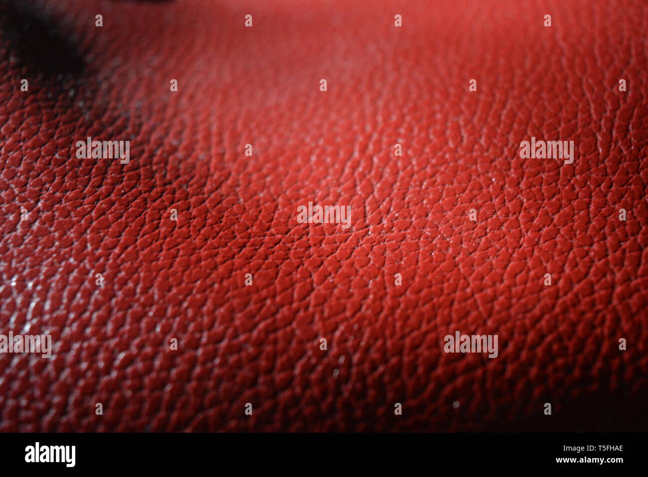 Beautifully carved natural leather with reliefs and texture, red ...