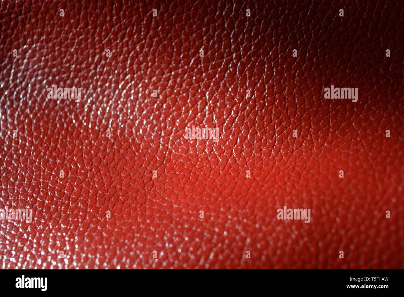 Beautifully carved natural leather with reliefs and texture, red ...