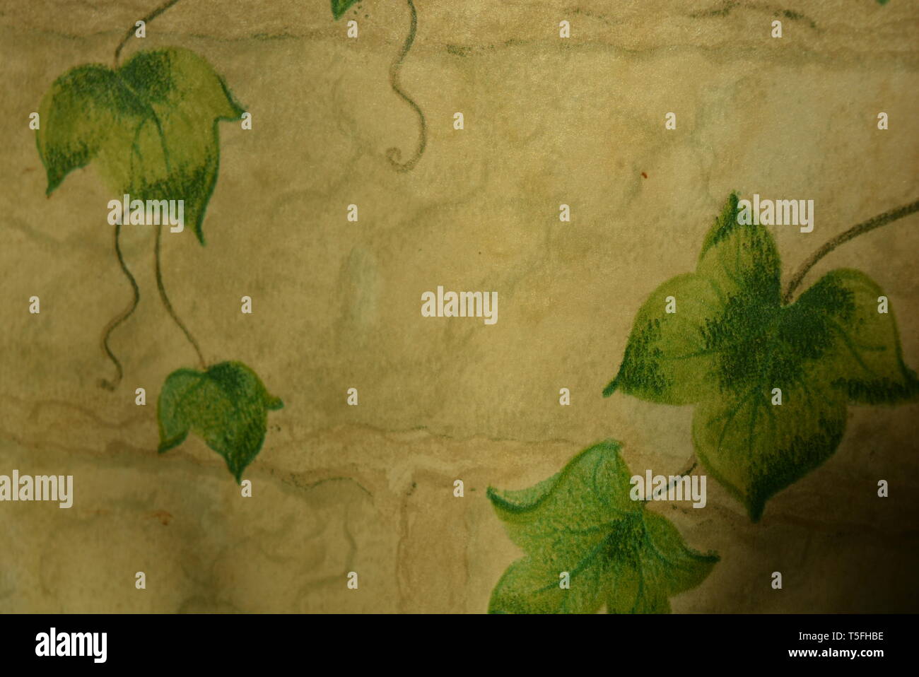 Painted ivy hi-res stock photography and images - Alamy