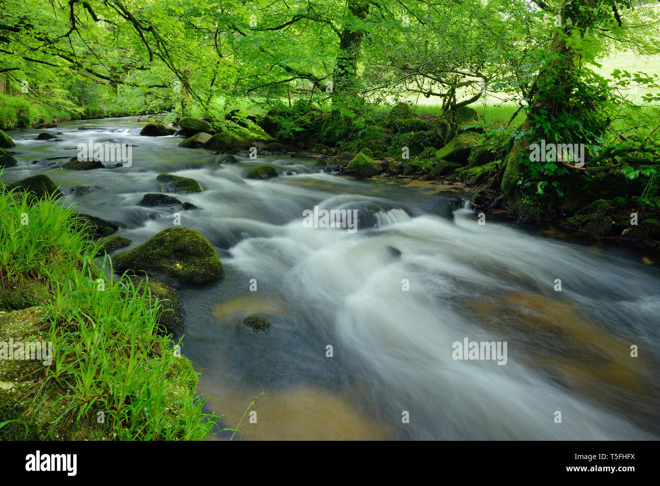 Liskeard Cornwall England High Resolution Stock Photography and Images ...