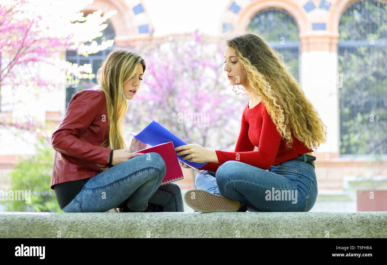 Two students studying together sitting on a bench outdoor Stock Photo ...