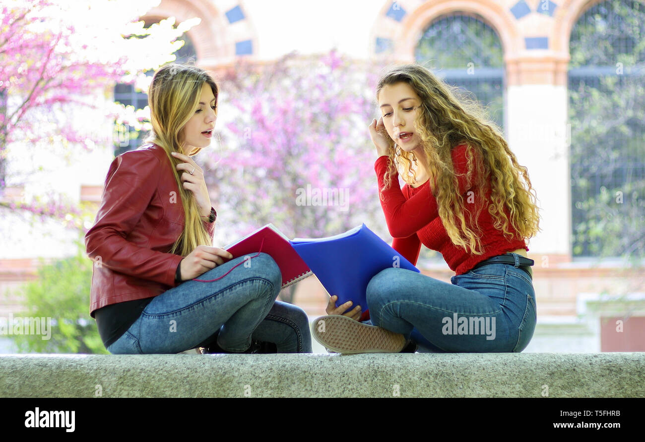 Two students studying together sitting on a bench outdoor Stock Photo ...