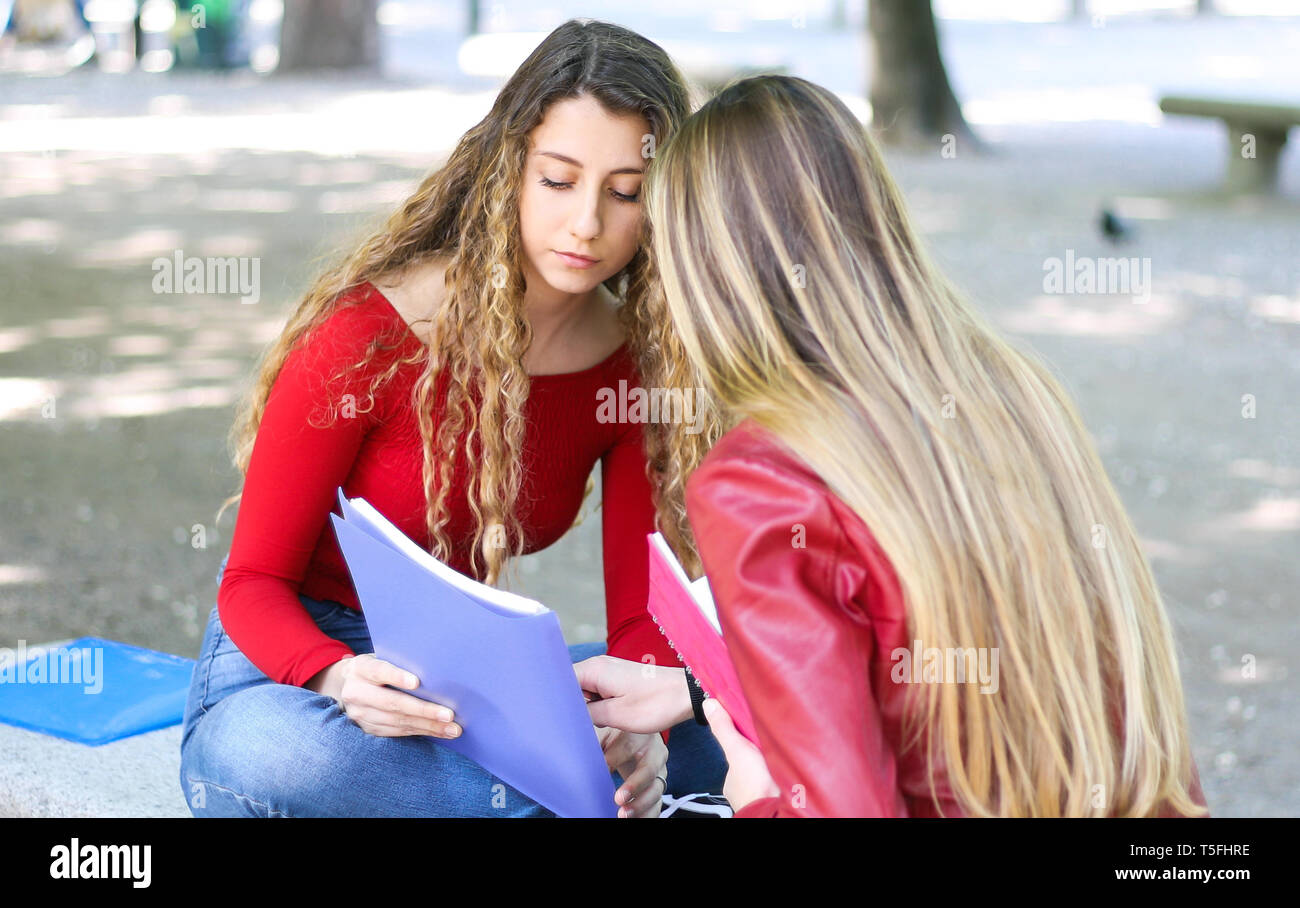 Two students studying together sitting on a bench outdoor Stock Photo ...