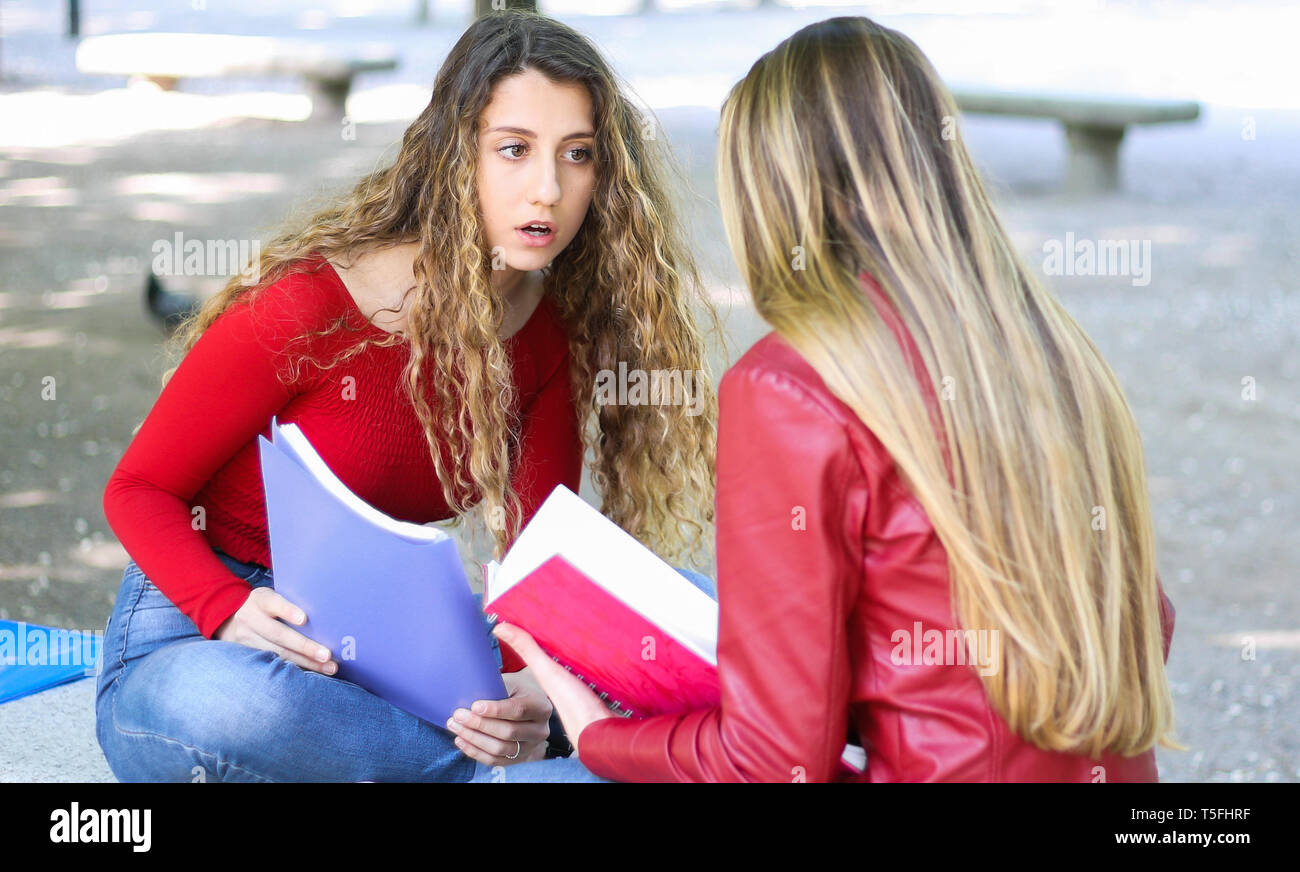 Two students studying together sitting on a bench outdoor Stock Photo ...