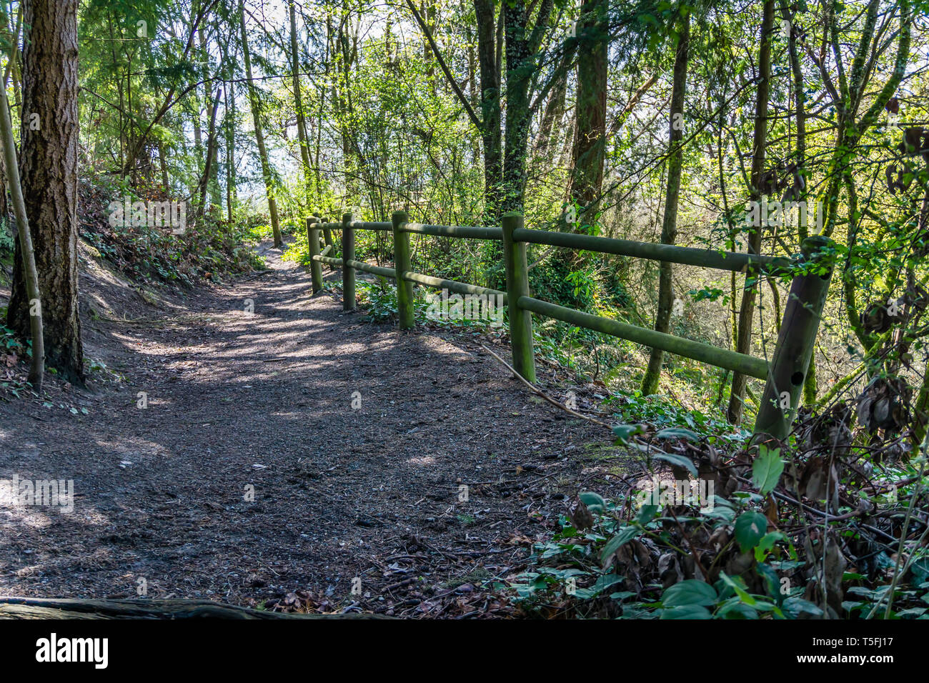 This trail at Marine View Park in Normandy Park, Washington leads to ...