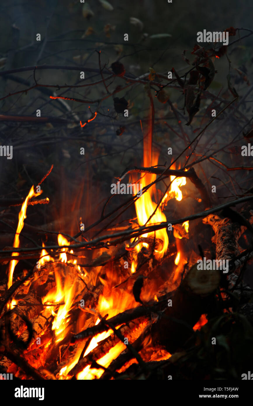Firewoods coals burning in bonfire hi-res stock photography and images ...