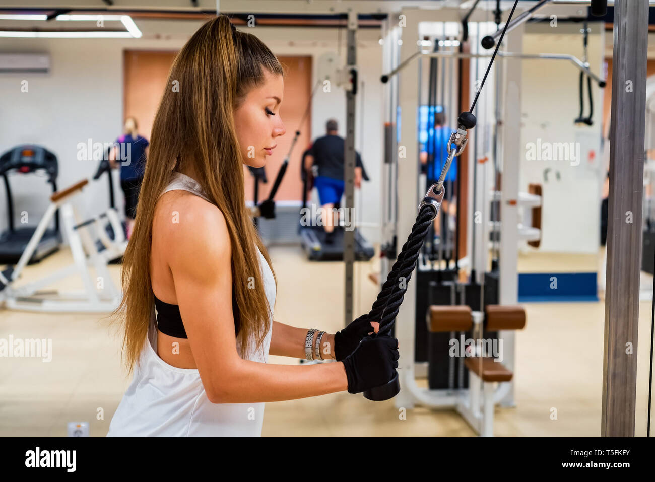 Young sportswoman does lat pull down exercise in gym Stock Photo - Alamy