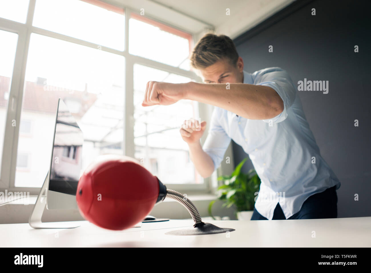 Young businessman at desk in office boxing with punching ball Stock ...
