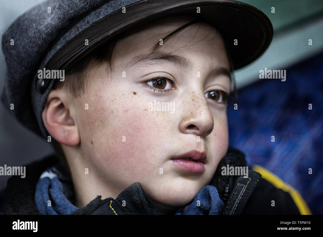 Gray cheeks hi-res stock photography and images - Alamy