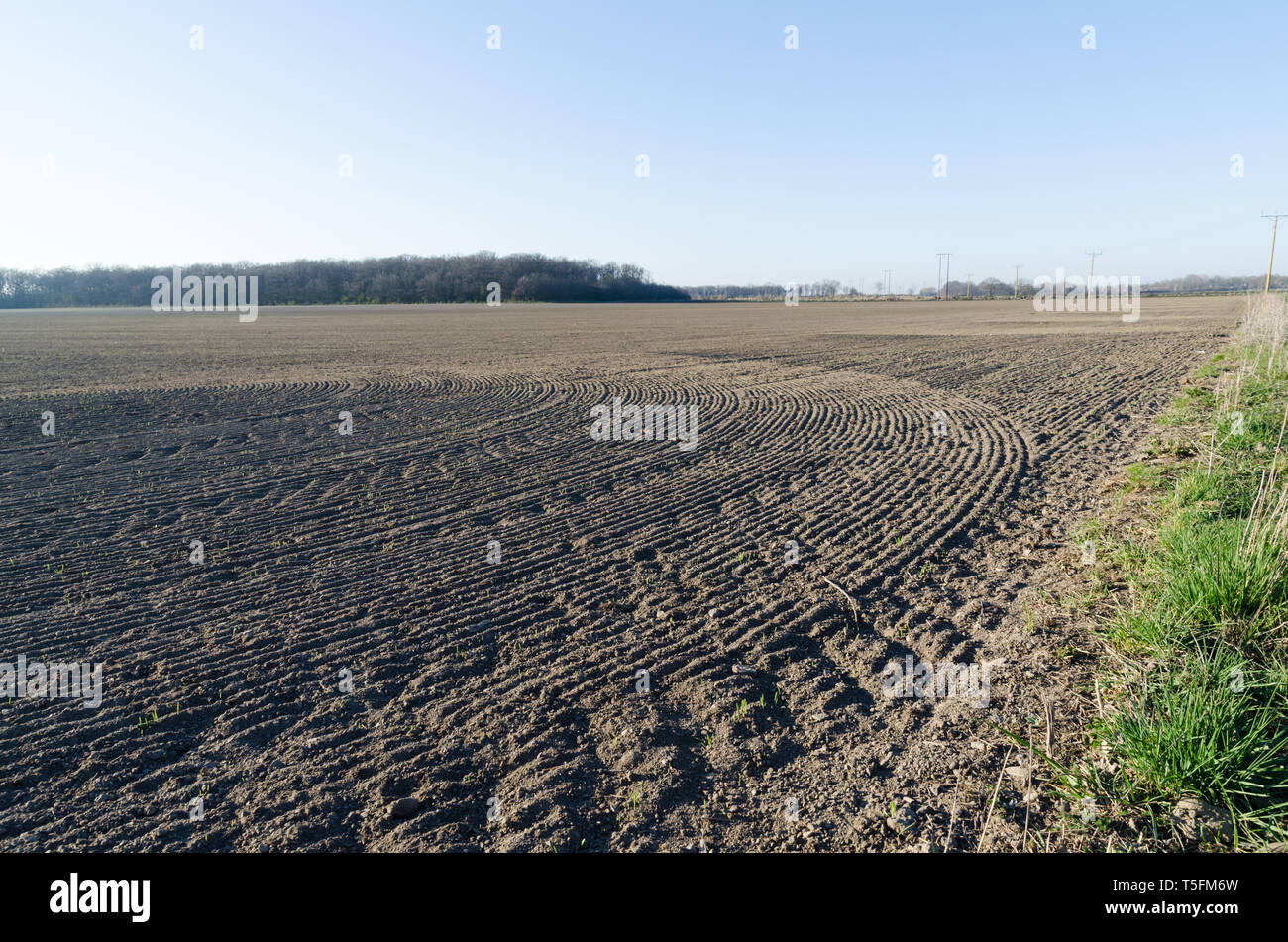 Patterns in a just sown farmers field Stock Photo - Alamy
