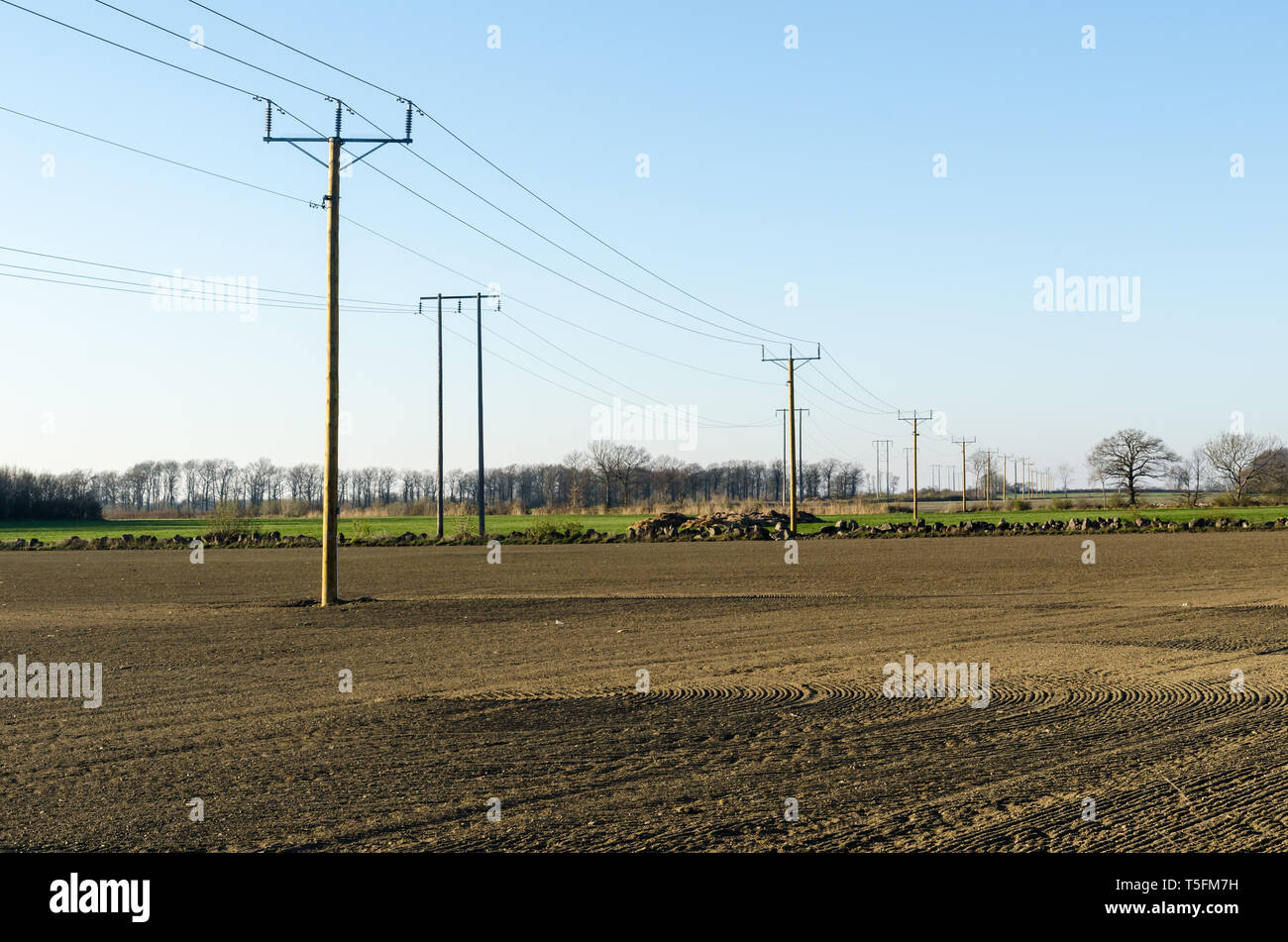 Power lines across farmers fields by spring season Stock Photo - Alamy