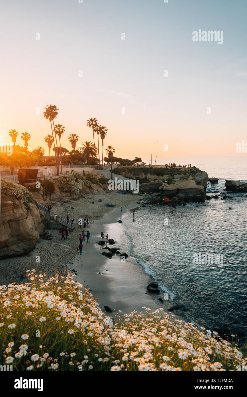 La jolla cove sunset hi-res stock photography and images - Alamy