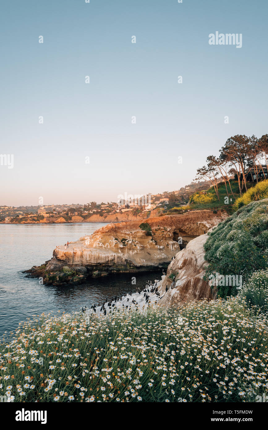 La jolla cove sunset hi-res stock photography and images - Alamy