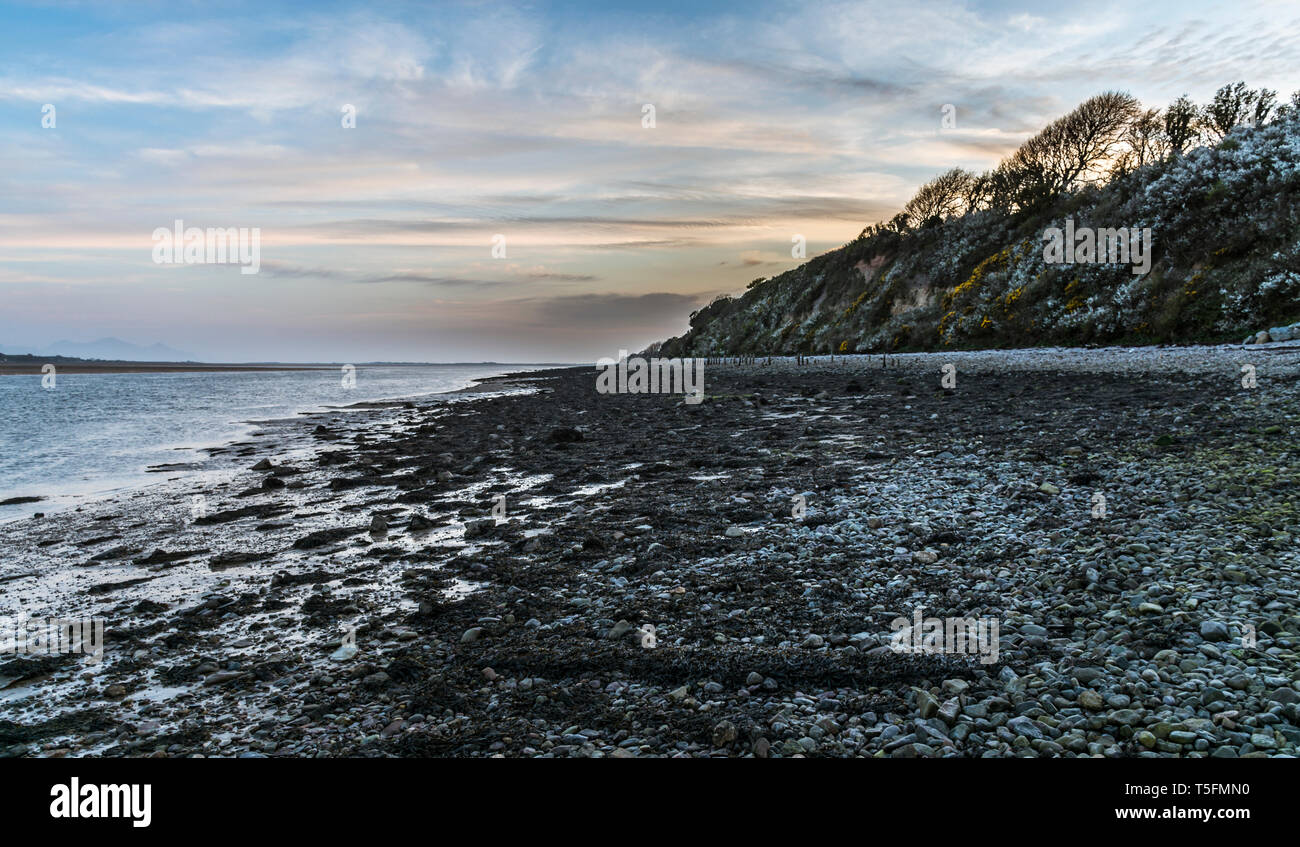 Brynsiencyn hi-res stock photography and images - Alamy