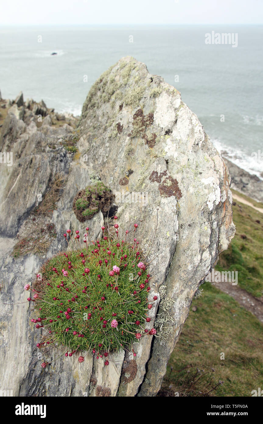 Morte point hi-res stock photography and images - Alamy