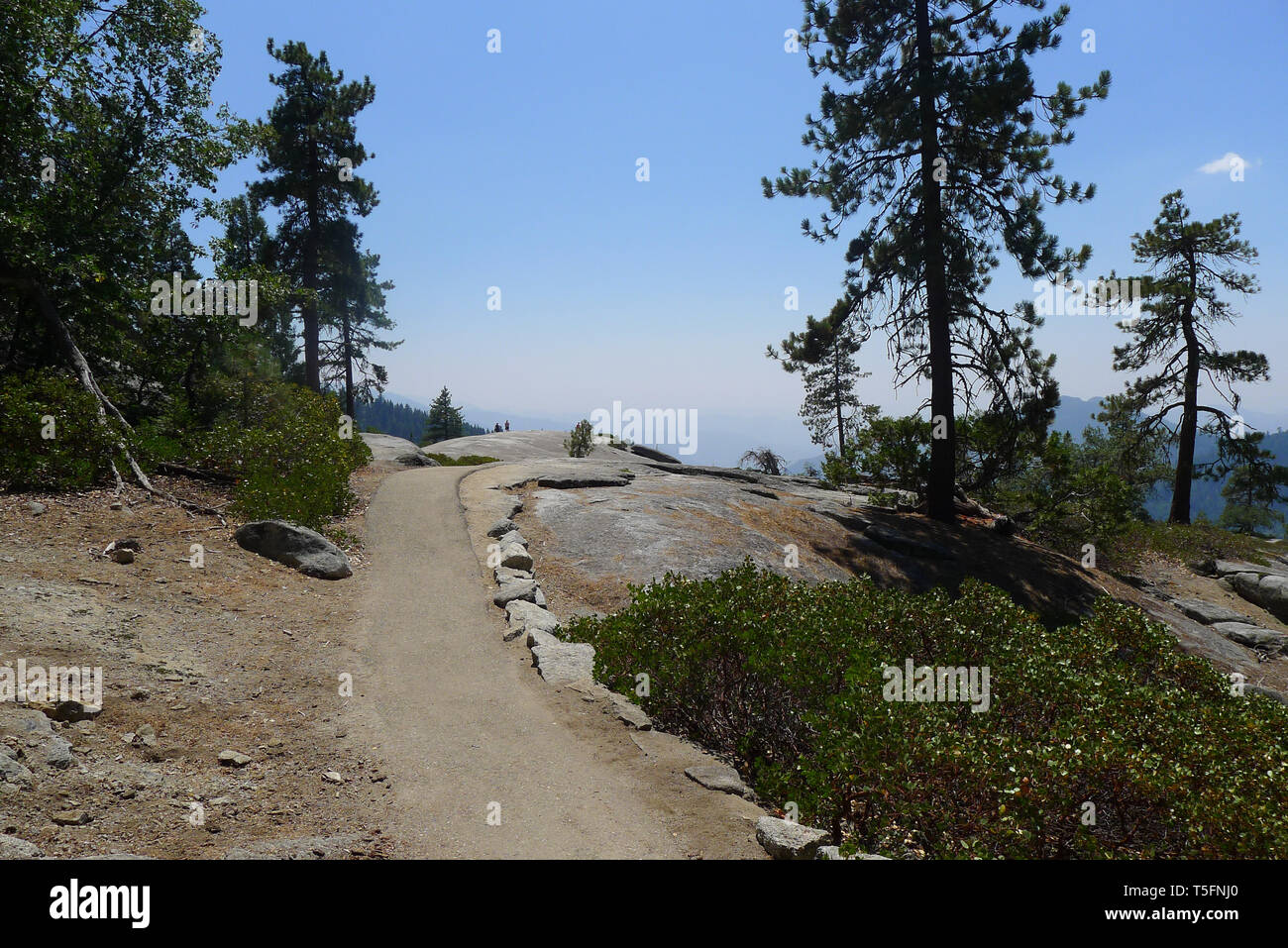 Way on a scenic view point in Sequoia National Park Stock Photo - Alamy