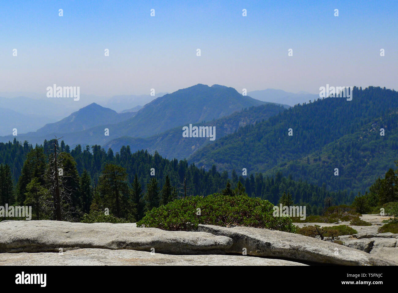 Sequoia national park scenic hi-res stock photography and images - Alamy