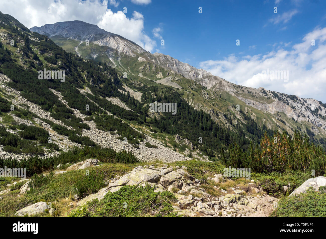 Landscape of Vihren peak, Pirin Mountain, Bulgaria Stock Photo - Alamy