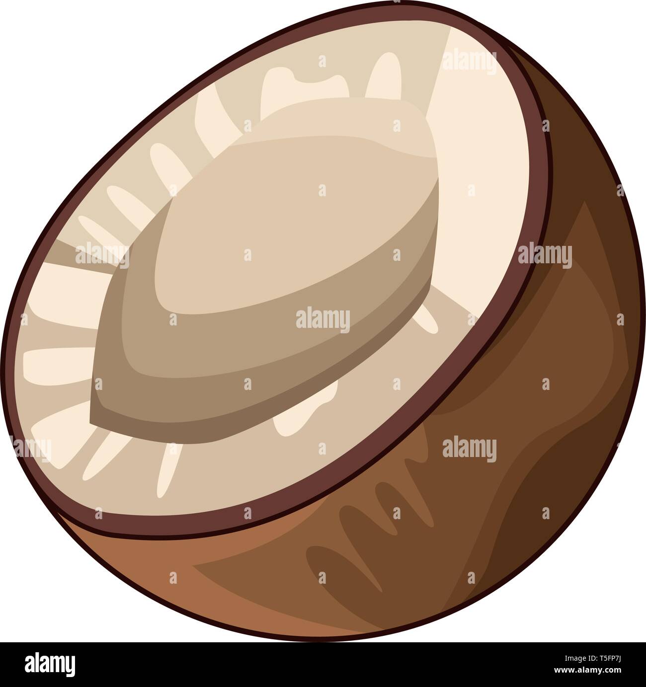 coconut icon cartoon Stock Vector Image & Art - Alamy