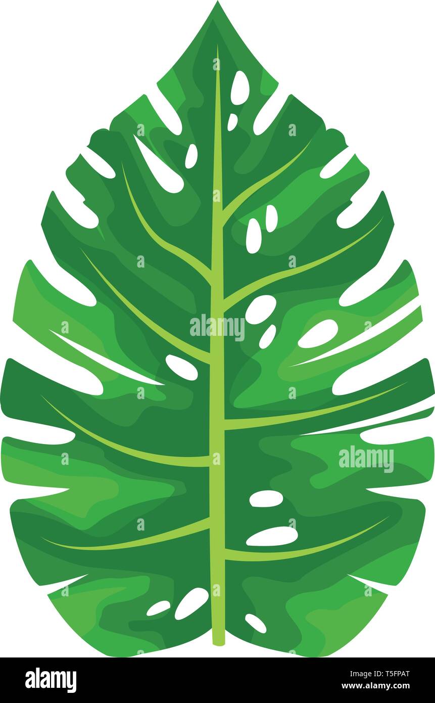 leaf icon cartoon Stock Vector Image & Art - Alamy
