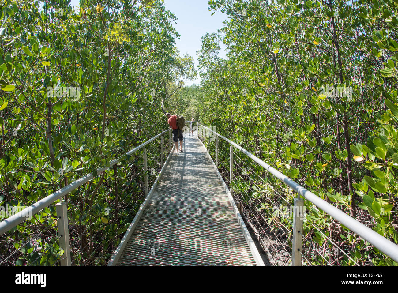 Nt australia boardwalk hi-res stock photography and images - Alamy