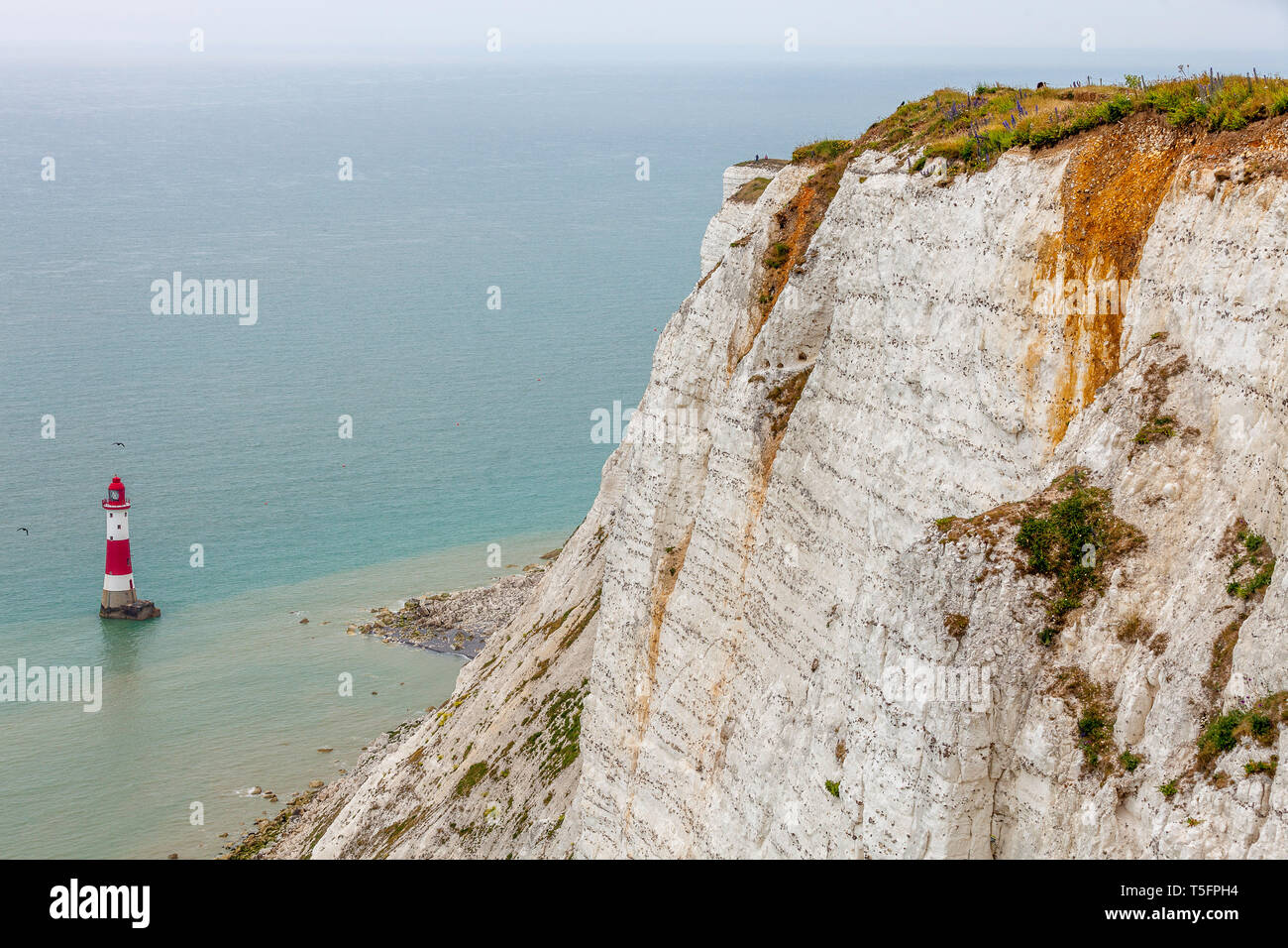 Cliff and the lighthouse Stock Photo - Alamy