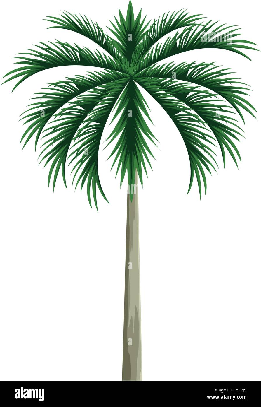palm icon cartoon Stock Vector Image & Art - Alamy