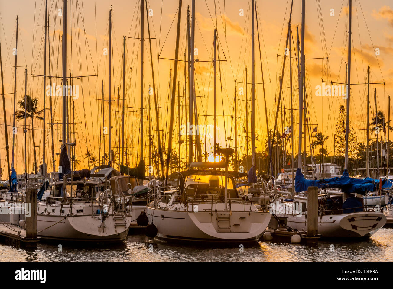 Oahu sunset cruise hi-res stock photography and images - Alamy