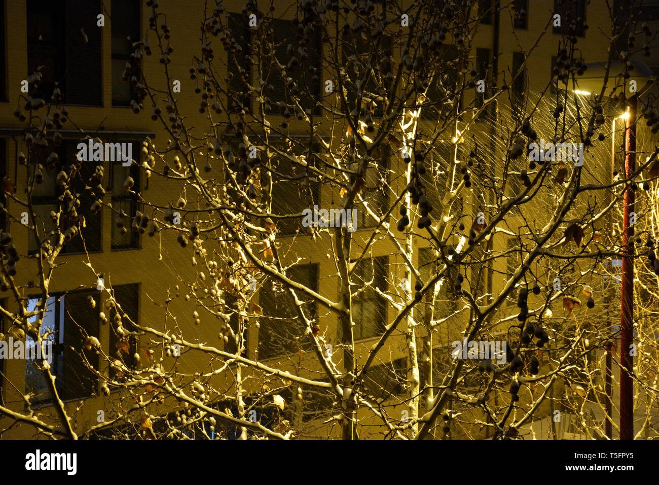 raining, rain falling during the night Stock Photo - Alamy