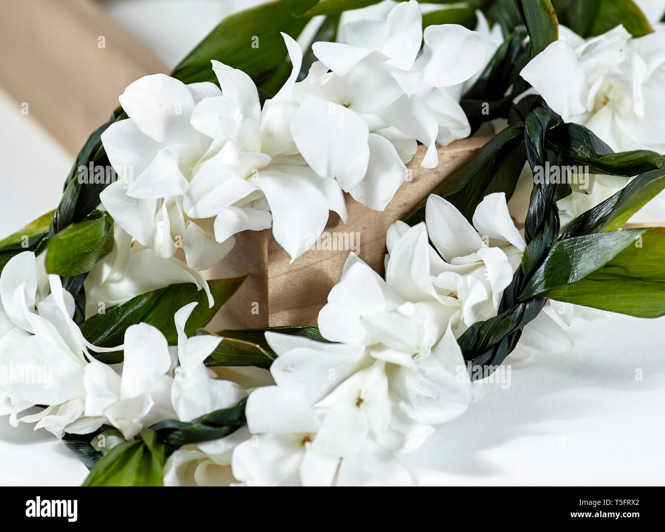 White flower Hawaiian lei with green twisted ti leaf lei Stock Photo ...