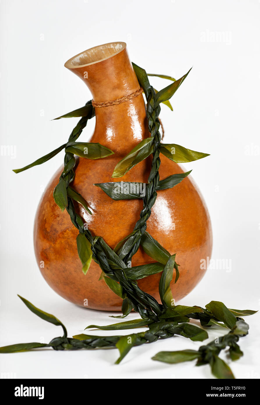 Hawaiian ti hi-res stock photography and images - Alamy