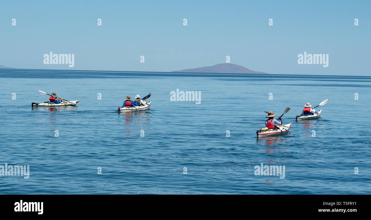 Kayaks loreto bay hi-res stock photography and images - Alamy