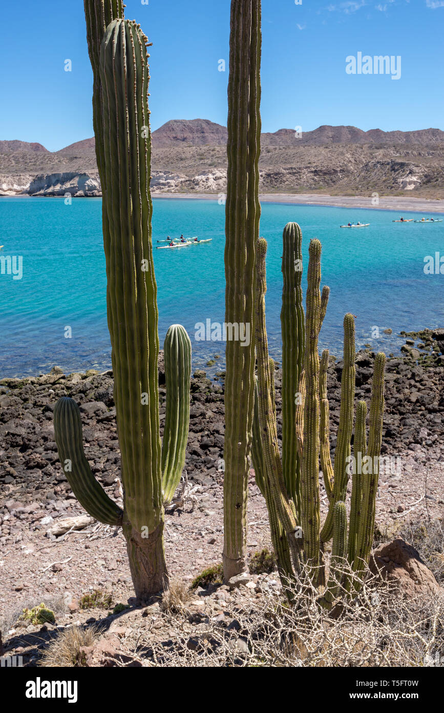 Sea kayaking, Bay of Loreto National Park, Baja California Sur, Mexico ...