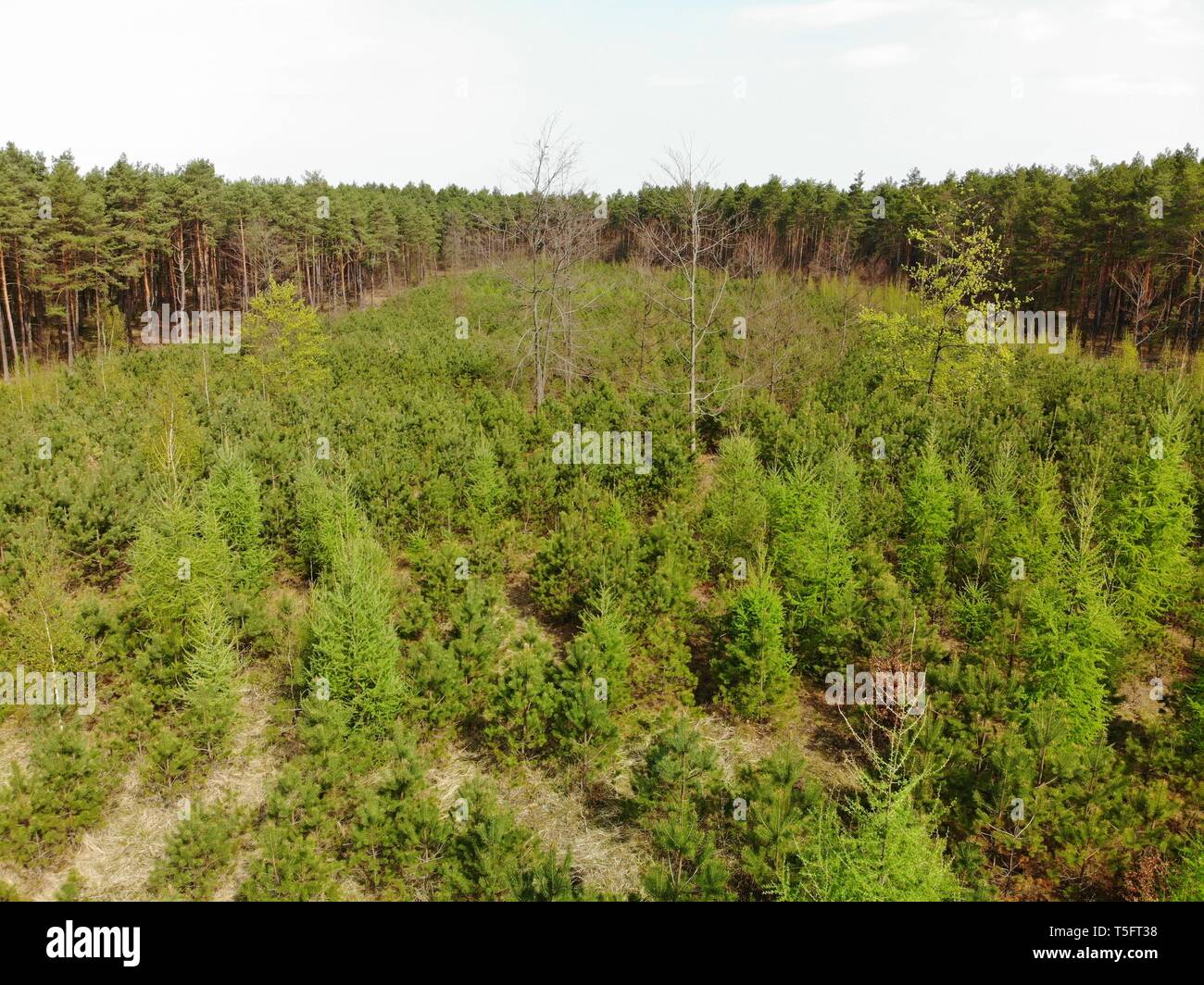 Protecting the environment hi-res stock photography and images - Alamy